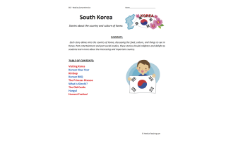Visiting Korea Reading Comprehension Worksheet by Teach Simple