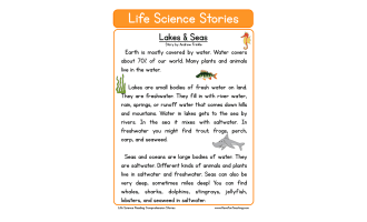 Lakes and Seas Reading Comprehension Digital Worksheet by Teach Simple