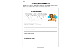 Asking Questions about a Text Worksheet by Teach Simple