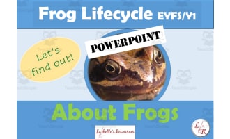 Horse Chestnut Life-cycle Lesson Resource Pack plus PowerPoint by Teach ...