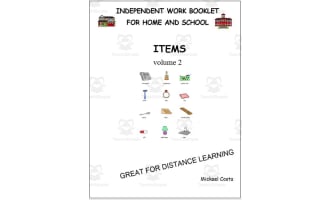 Vocabulary sheets: Native items volume 2 by Teach Simple
