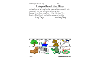 Sorting Living and Non-Living Things Worksheet by Teach Simple