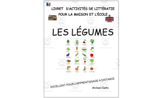Livret d’activités de littératie et vocabulaire: Les drapeaux des ...