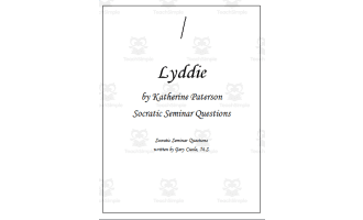 The Coffin Quilt by Ann Rinaldi Socratic Seminar Questions by Teach Simple