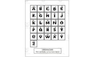 Sorting Cards - Non-Identical Shapes by Teach Simple