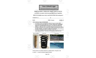 Math Assessment Activity: A Borderline Case by Teach Simple