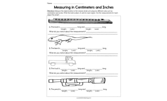 Measuring Inches Worksheet by Teach Simple