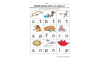 Middle Sounds A or O Worksheet by Teach Simple