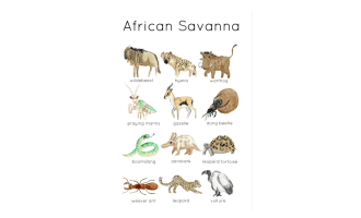 African Savanna Animals by Teach Simple