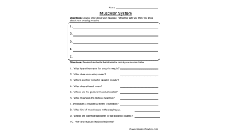 Skeletal System Research Worksheet by Teach Simple