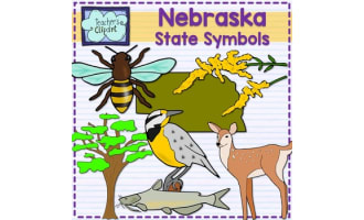 MISSISSIPPI State Symbols Clip Art by Teach Simple