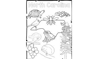 North Carolina Worksheet by Teach Simple