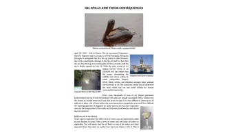 Cleaning up Acid Spills Reading Comprehension Article by Teach Simple