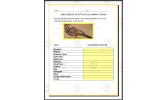 Ornithology: Cardinal - Research Project by Teach Simple