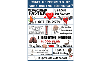 PE Poster Visuals: Why Should I Exercise? by Teach Simple