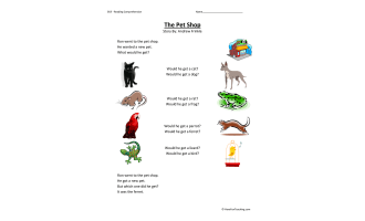 We Want a Pet Reading Comprehension Worksheet by Teach Simple