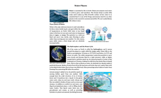 Many States of Water Worksheet by Teach Simple