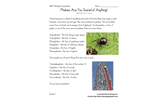 Scared of the Dark Reading Comprehension Worksheet by Teach Simple