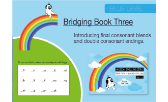 Final Consonant Blends & Double Consonant Endings: Dan’s Dog by Teach ...