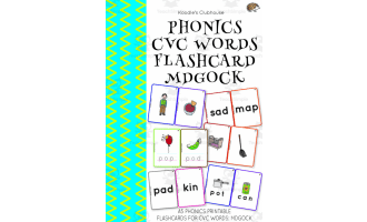 Phonics CVC Words Flashcard SATPIN by Teach Simple
