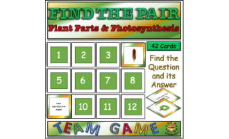 Plants - 36 Taboo Cards on Anatomy, Life Cycle and Photosynthesis ...