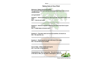 Flower Parts of a Plant Worksheet by Teach Simple