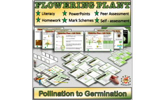 Plant Anatomy and Life Cycle - Team Quest Interactive Quiz by Teach Simple