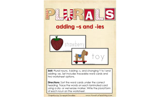 Plurals S ES IES Worksheet by Teach Simple