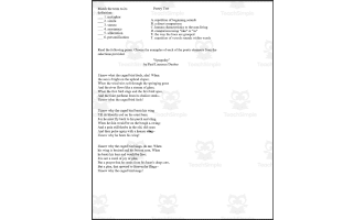 Literary Terms Lesson for Sound Devices by Teach Simple