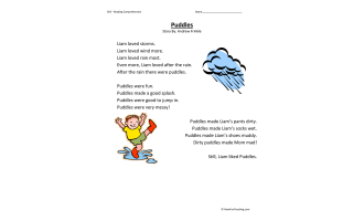 Raining Buckets Reading Comprehension Worksheet by Teach Simple
