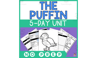 Beluga Whale Unit Study (Arctic Animals Lesson Plan, Videos, Activities ...