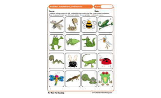 Amphibians Life Science Reading Comprehension Worksheet by Teach Simple