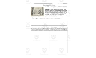 Romeo and Juliet Act 2, Scenes 5-6 | Double Entry Journals by Teach Simple