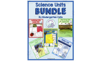 Ladybug Life Cycle Bundle | Emergent Readers by Teach Simple