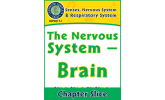 Senses, Nervous & Respiratory Systems: The Senses of Taste and Smell Gr ...