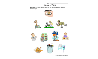 Senses Touch Worksheet by Teach Simple