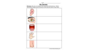 Senses Sight Worksheet by Teach Simple