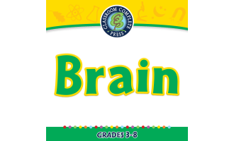 Senses,Nervous & Respiratory Systems: The Respiratory System - Lungs ...