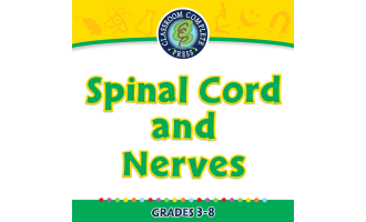 Senses,Nervous & Respiratory Systems: The Respiratory System - FLASH-PC ...