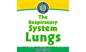 Senses,Nervous & Respiratory Systems: The Respiratory System - FLASH-PC ...