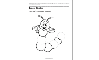 Shapes and Sizes Printable Workbook: Preschool Skill Builder by Teach ...