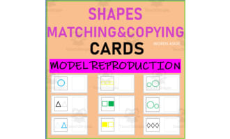 MODEL REPRODUCTION WORKSHEETS by Teach Simple
