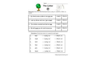 Short Vowels Worksheet by Teach Simple