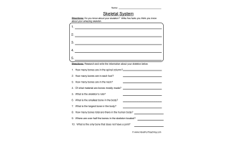 Label Skeletal System Worksheet by Teach Simple