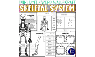 Skeletal System Research Worksheet by Teach Simple