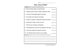 Skin Diagram Worksheet by Teach Simple