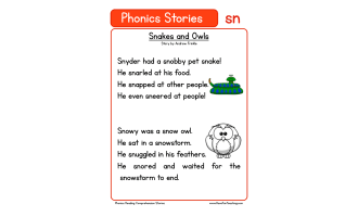 Brent and Brant NT Phonics Stories Reading Comprehension Worksheet by ...