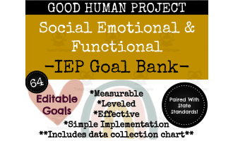 IEP Caseload Organization Spreadsheet by Teach Simple