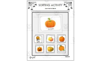 Sorting Activity by Feature, Function, and Class - Large Picture Edition by Teach Simple