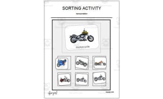 Sorting Activity: Transportation - Non-identical items by Teach Simple